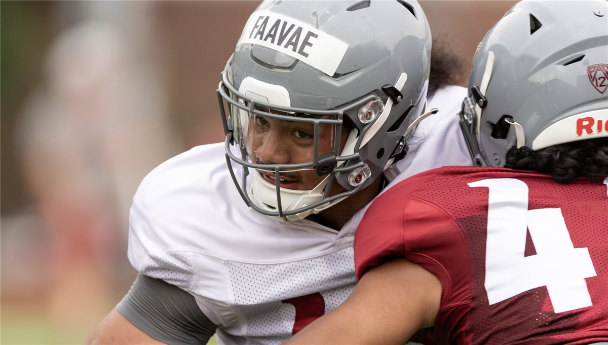 LB Tai Faavae: Washington State redshirt review