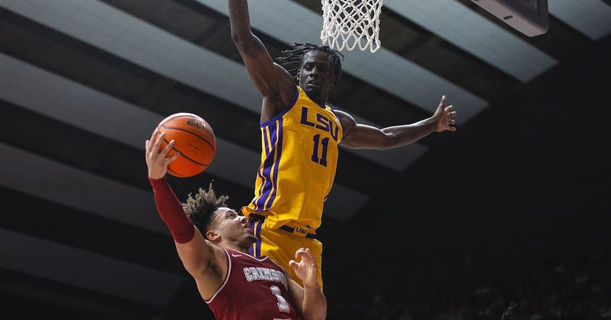 LSU forward Corey Chest enters 2025 transfer portal