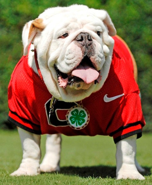 'Russ' to become 'Uga IX'
