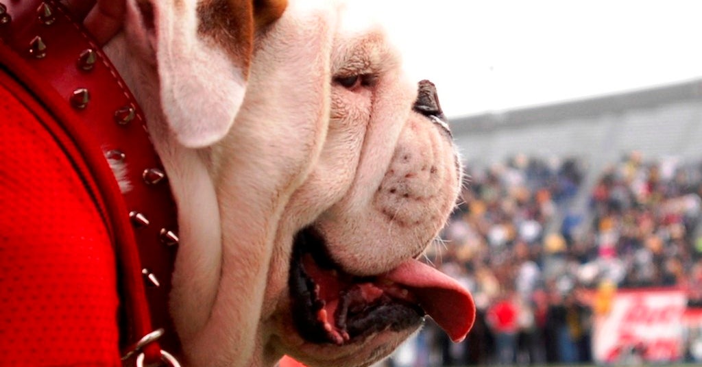 'Russ' to become 'Uga IX'