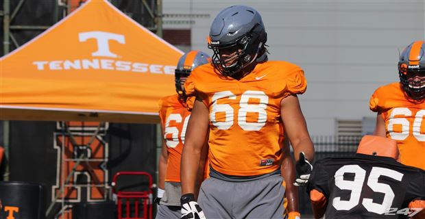 Ethan Wolf, Tennessee, Tight End