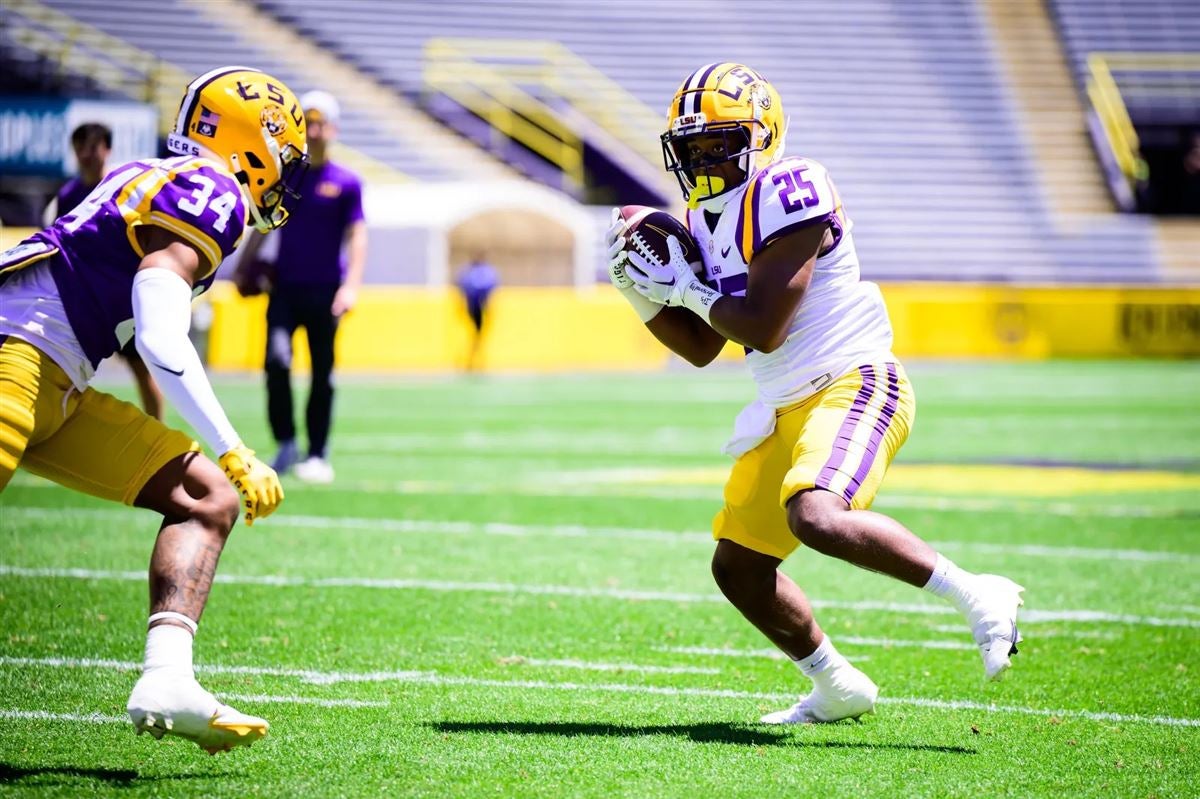 LSU running back Trey Holly issues statement after recent arrest
