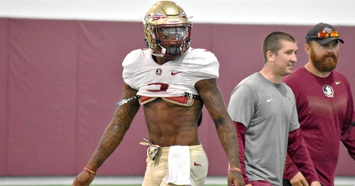 Derwin James' rookie campaign was truly special