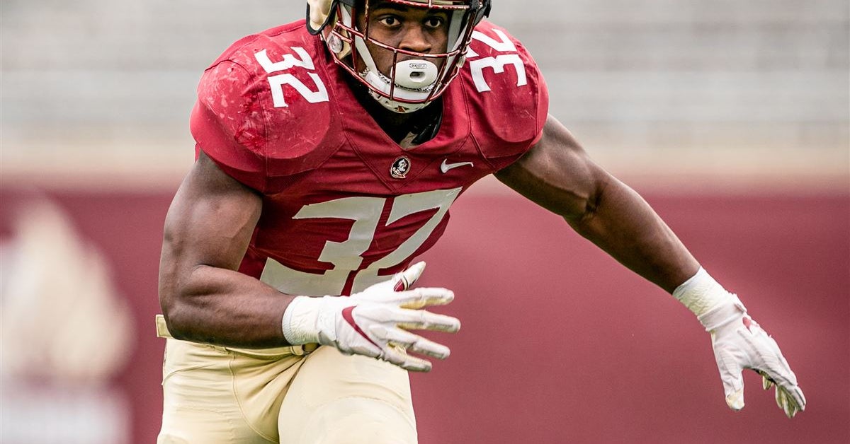 FSU LB Stephen Dix Jr. out for season