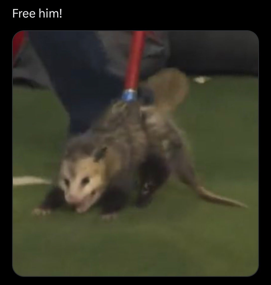 Playing Possum