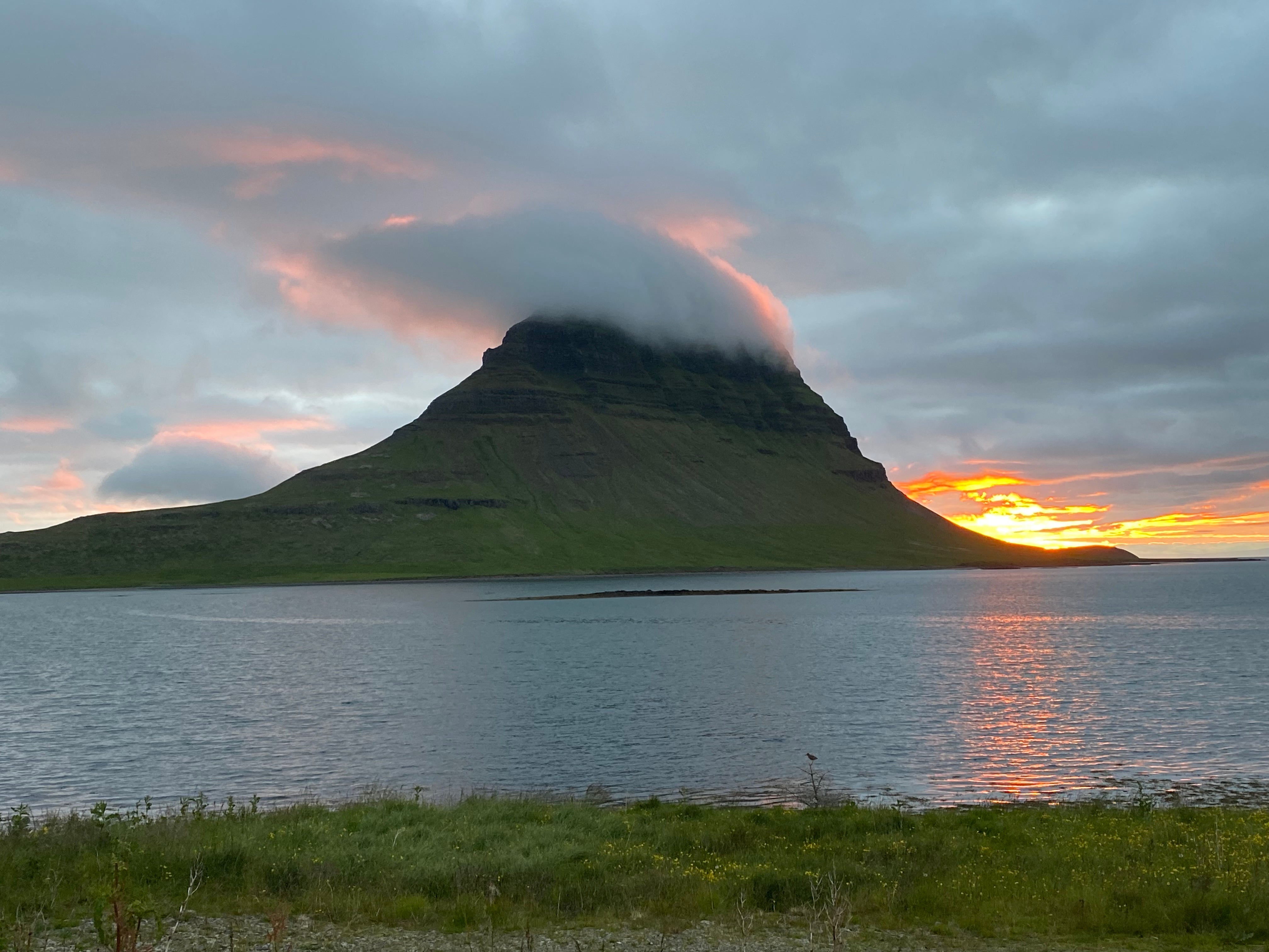 Do you love a great summer view?