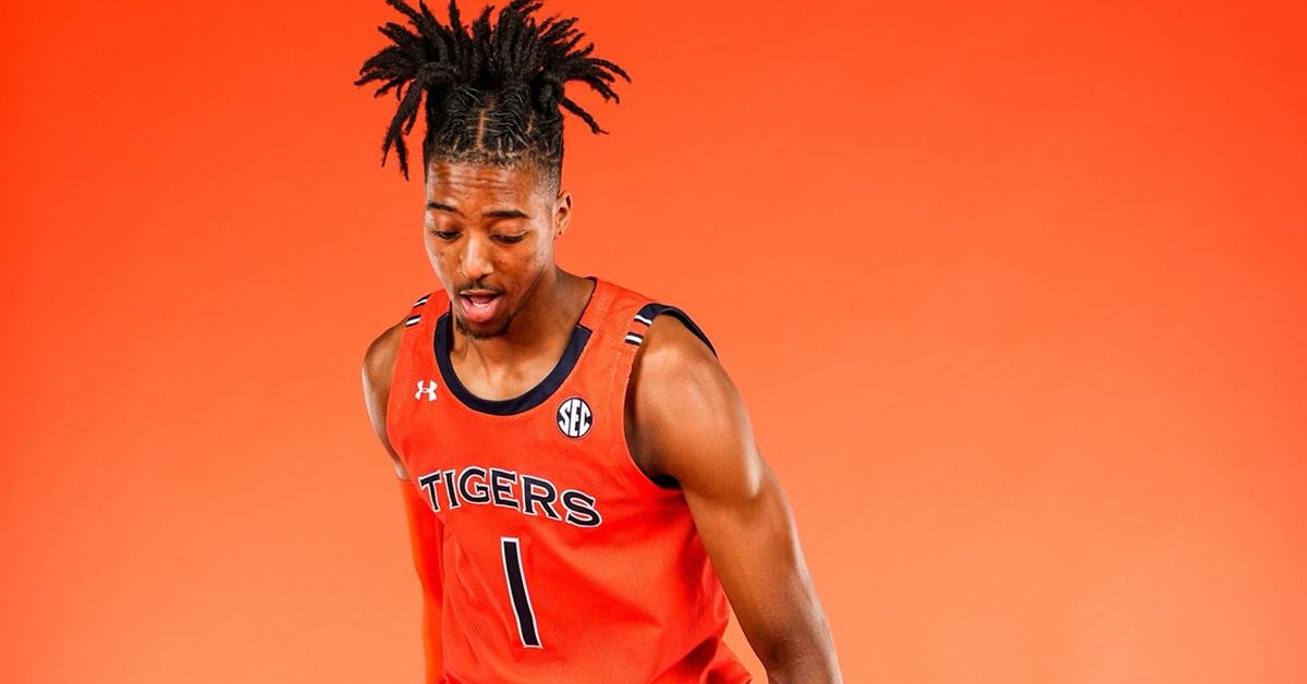 UAH forward Chaney Johnson is a Tiger: 'Auburn is the place for me'