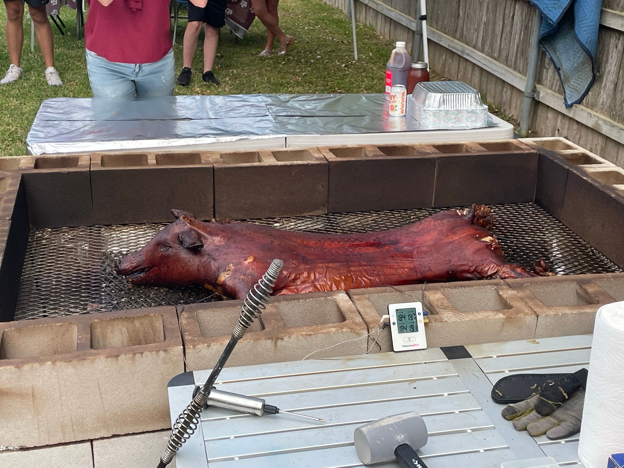 How Build A Pig Roasting Pit Pig Cooking Over Open Fire Hi Res Stock