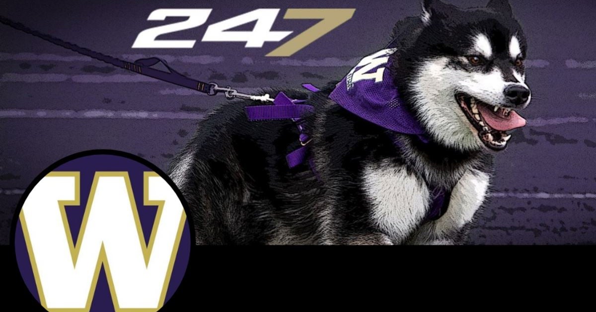 WOOF! Twitter/X Accounts UW Fans Need to Follow