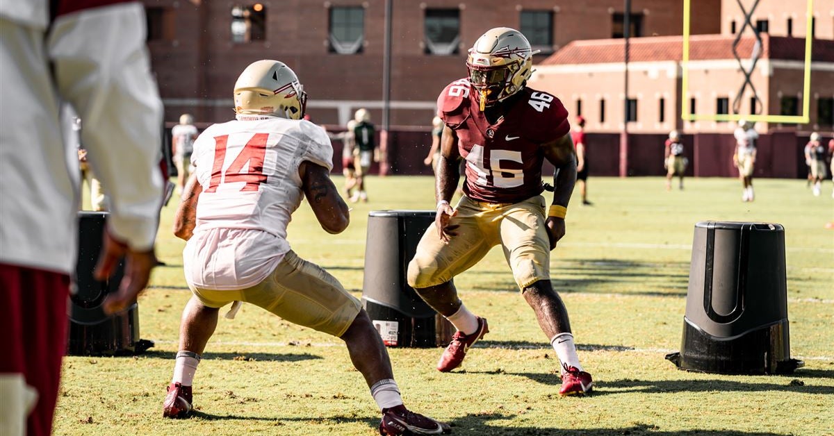 DJ Lundy brings physicality to fullback position in FSU debut