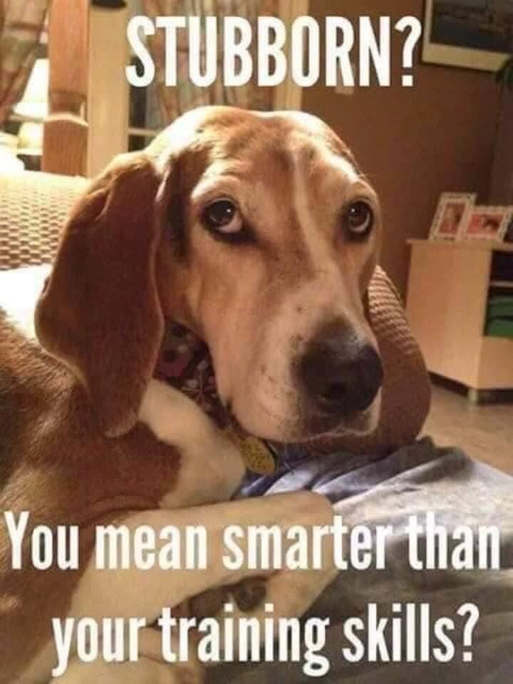 Self Isolation/Social Distancing humor thread