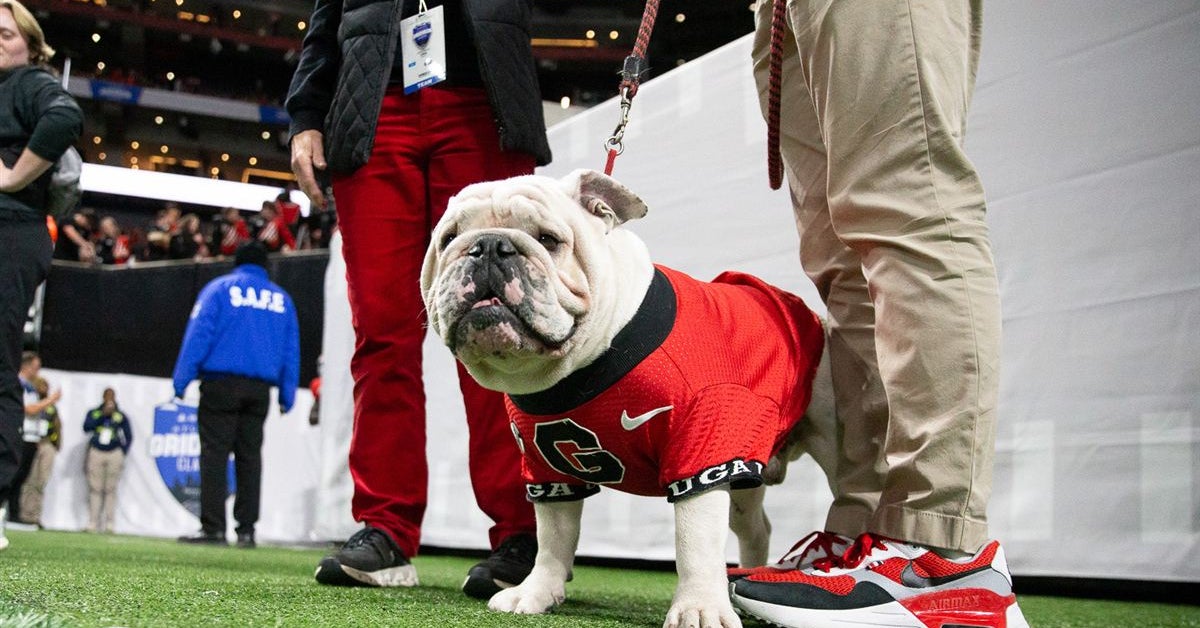 CFP Rankings have Georgia football ranked No. 3 heading into SEC ...