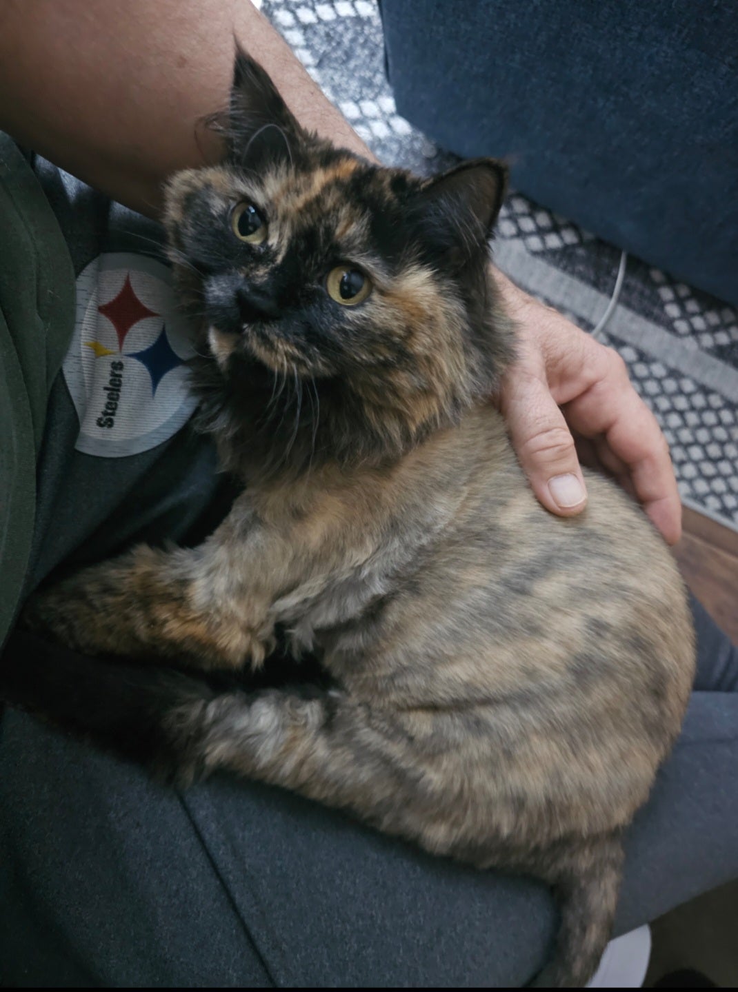 Hey JAX. You want this?