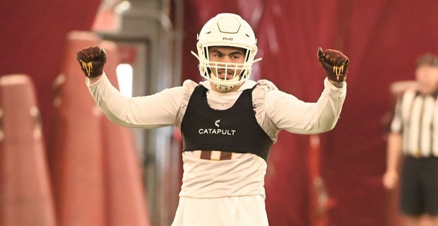 Player capsule: Merlin Robertson