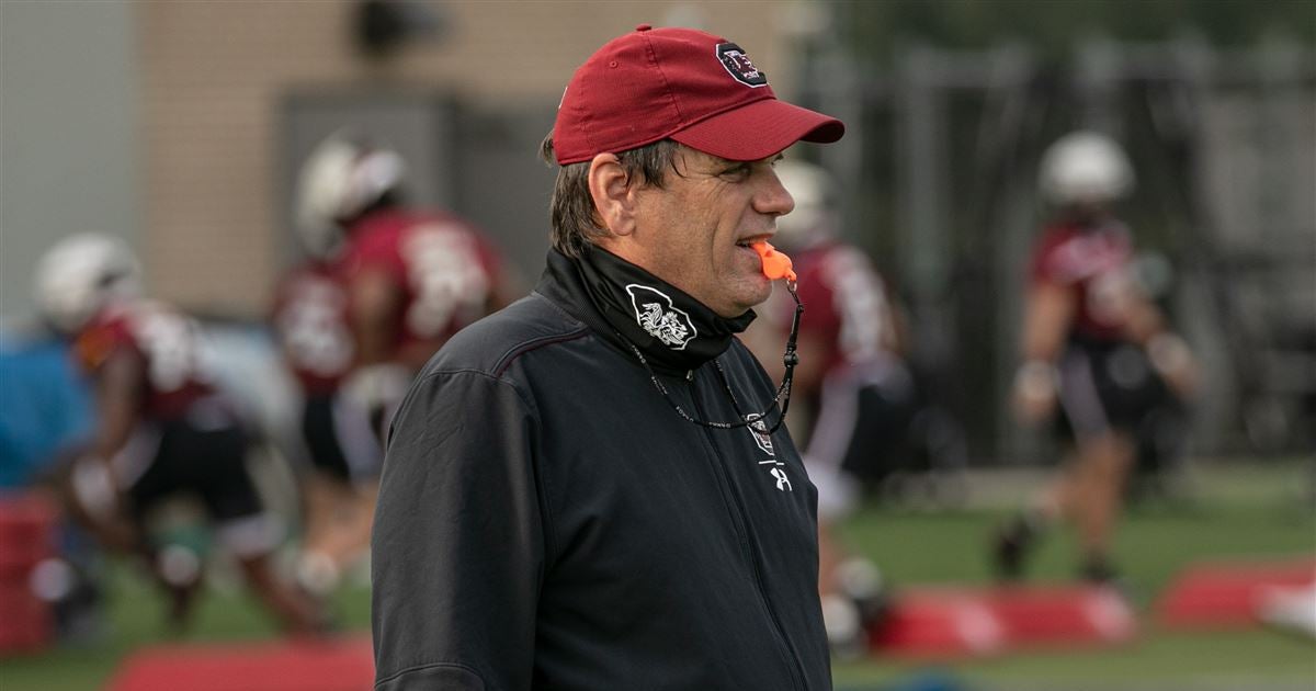 South Carolina names Mike Bobo interim head coach