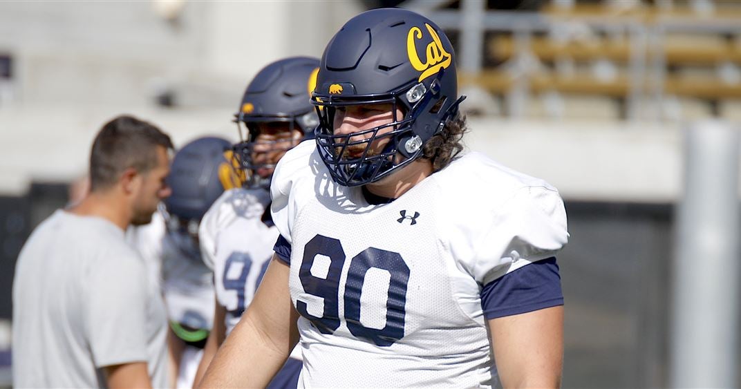California Golden Bears DL Brett Johnson to miss entire season due to ...