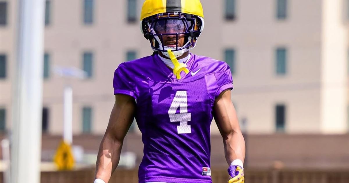 LSU defensive transfers who will make All-Impact team case in 2025