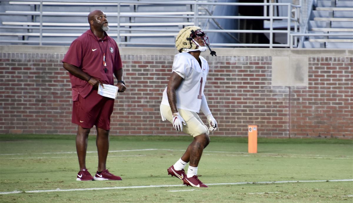 The state of Florida State at the start of LSU Week: What you need to ...