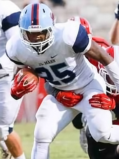 Josh Samuel Profile Photos