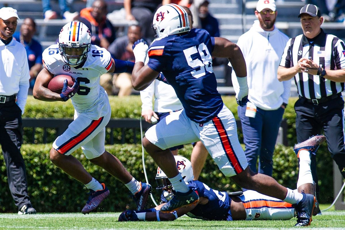 IN PHOTOS: Auburn A-Day game