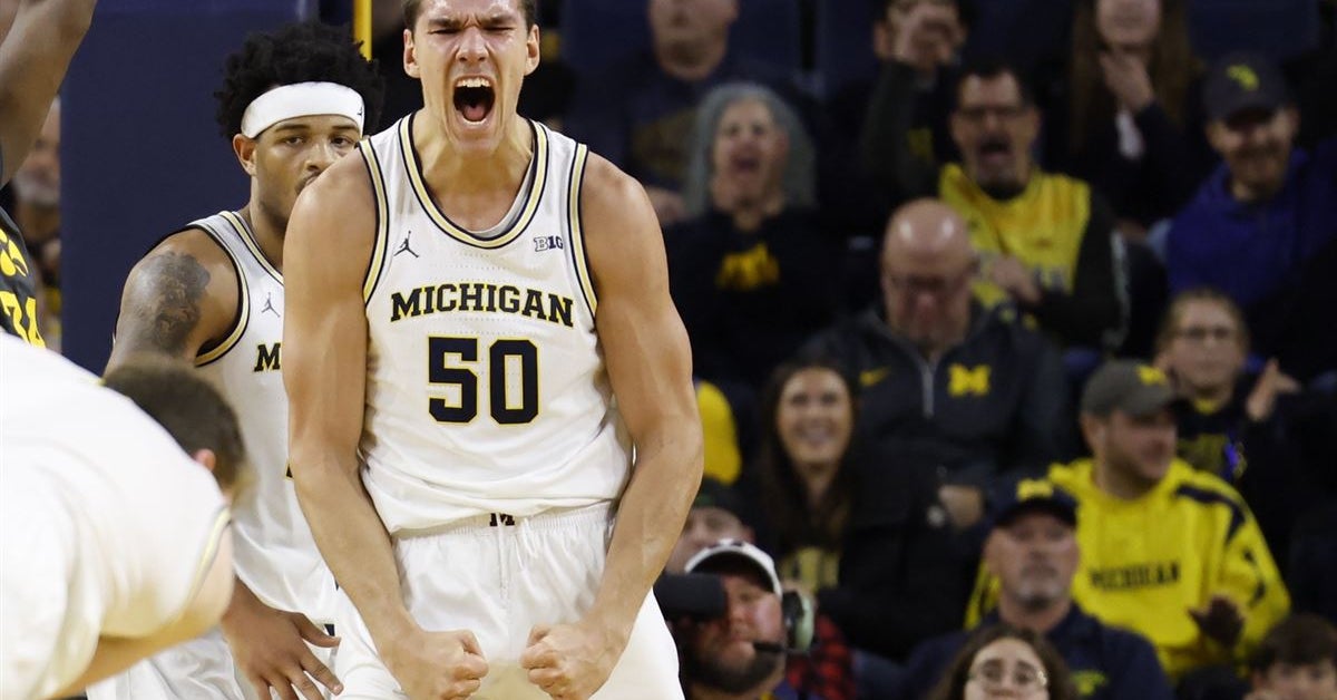 U-M center Vlad Goldin named Big Ten Player of the Week after ...