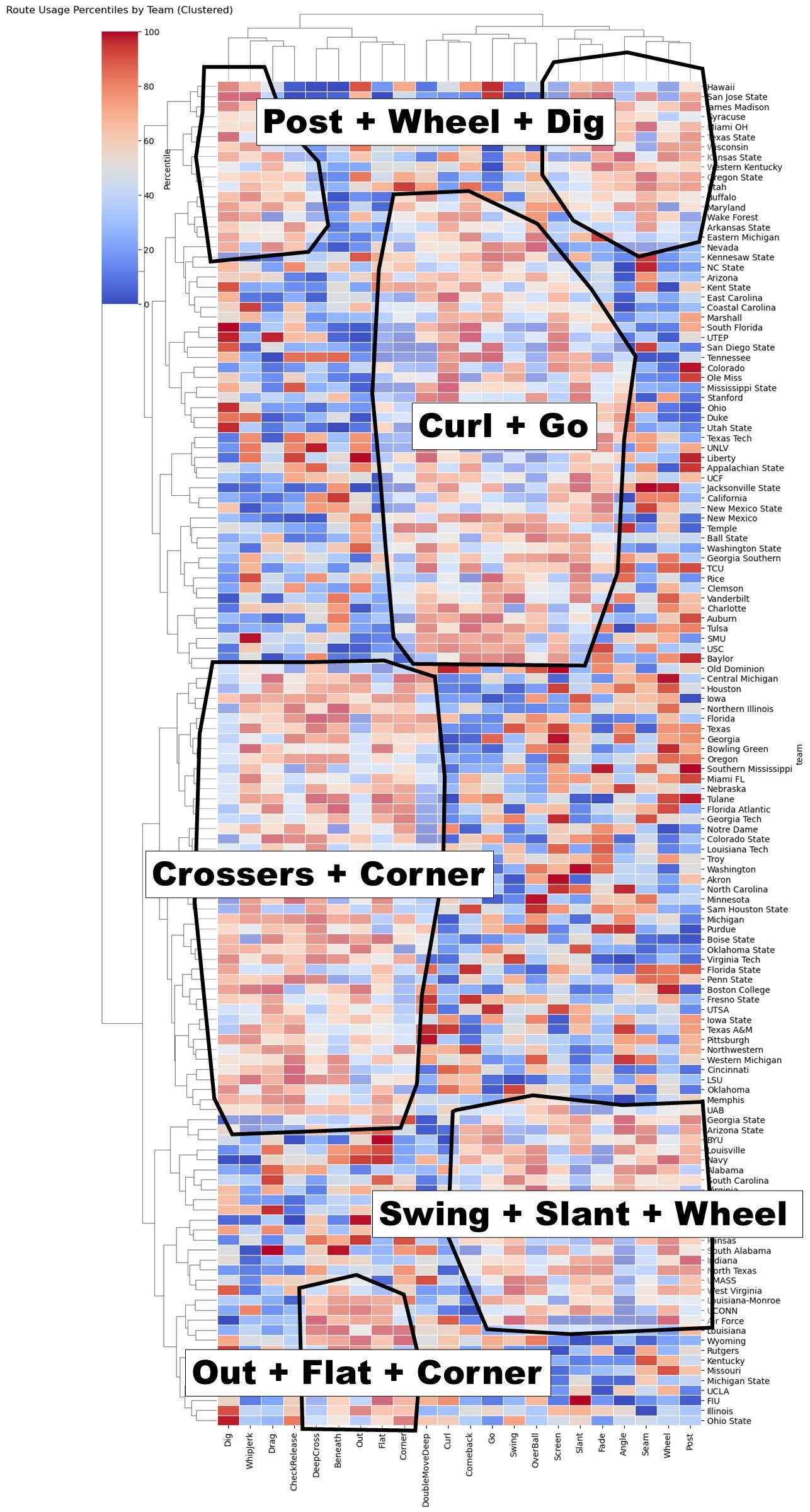 5 types of passing offenses CFB 2024