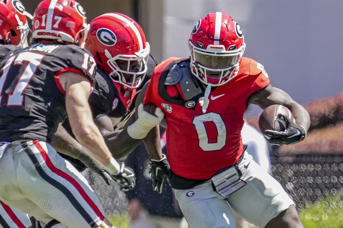 Georgia Bulldogs with rising stock at the end of spring practice