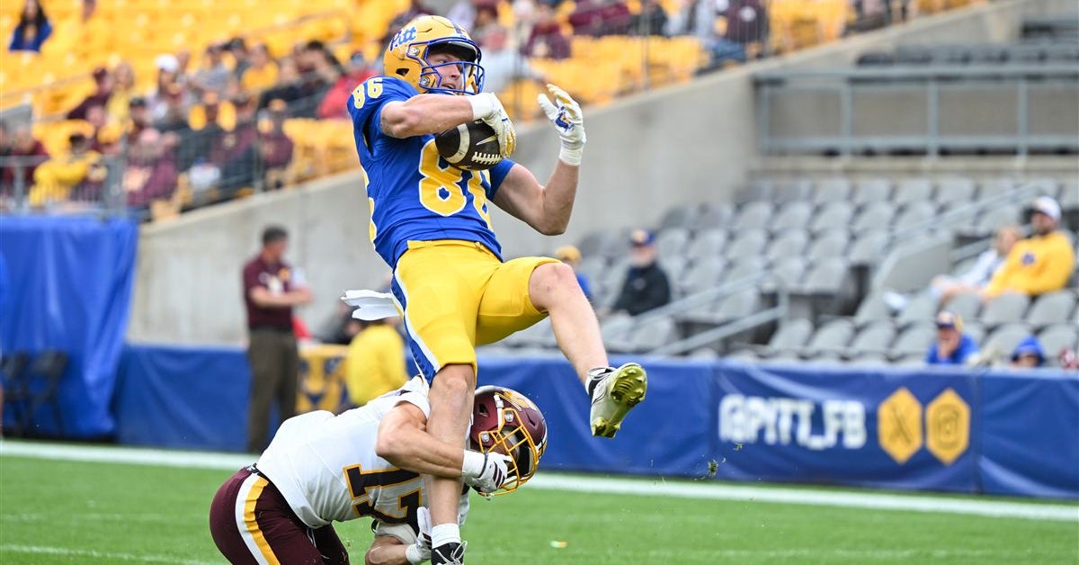 Portal aftermath roster breakdown: Sizing up Pitt's tight end situation