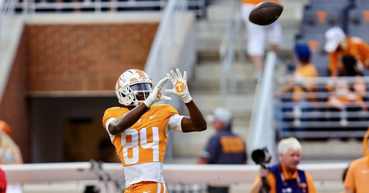 Transferring Tennessee WR announces commitment to new school