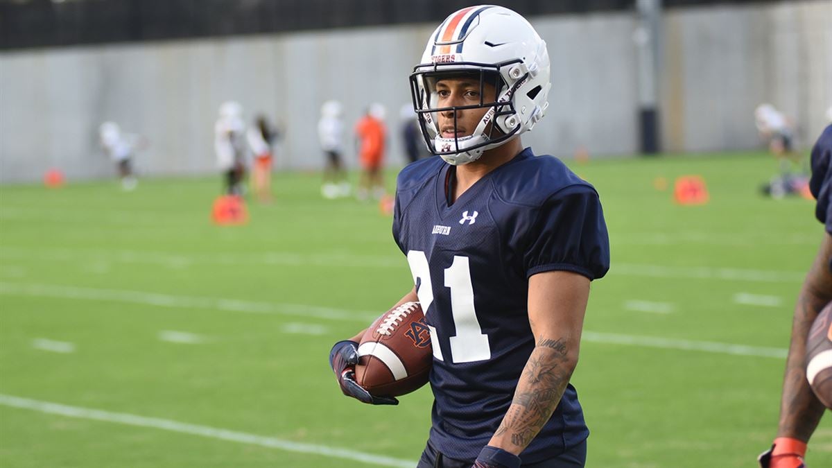 IN PHOTOS: Auburn spring football photo gallery 1, the newcomers