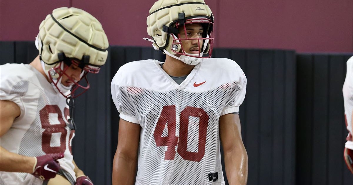 Sooner or later, young freshman Amaree Williams will make an impact for FSU