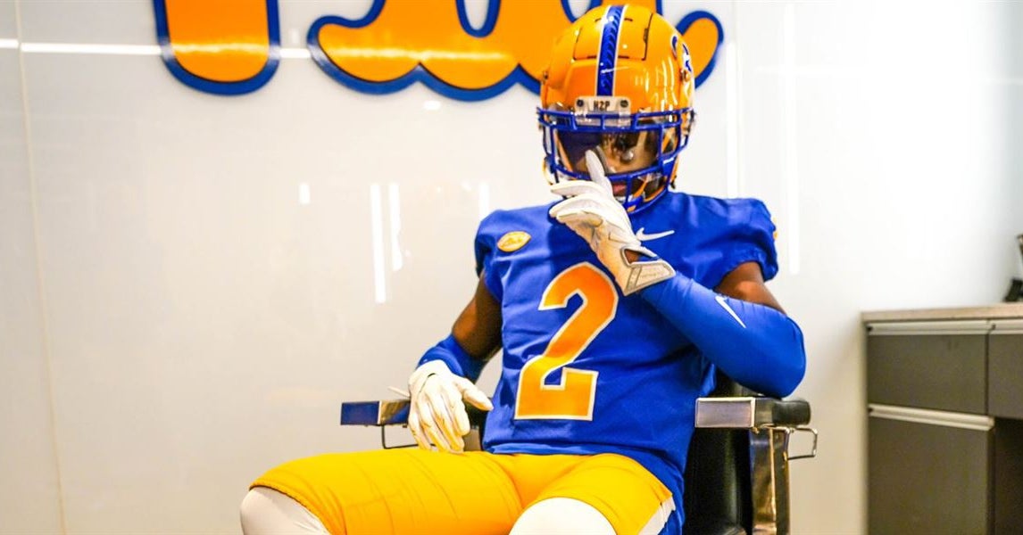 Two new commits, the latest on the class and more on the LIVE Panther ...