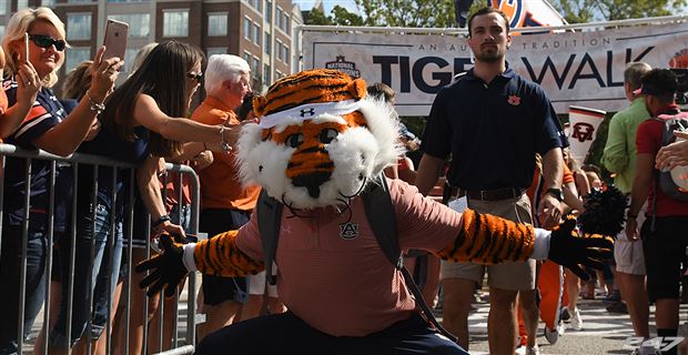 Tiger Walk photos: The LSU game