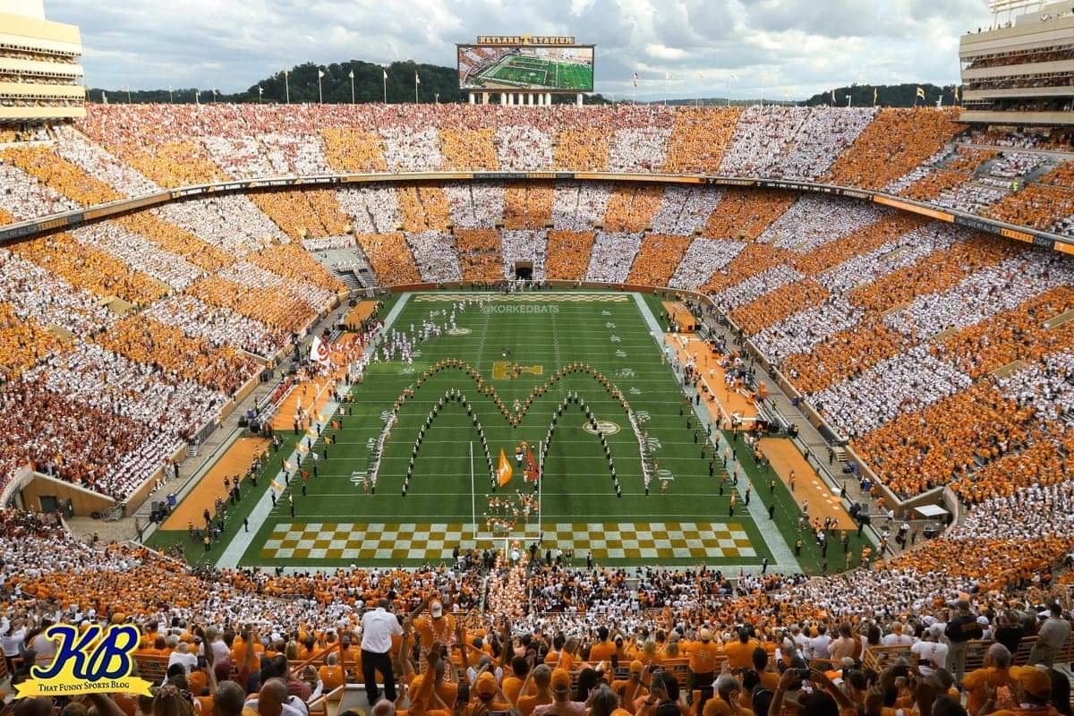 TN Meme thread