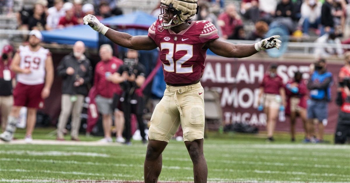 FSU's 40 Most Important Players: LB Stephen Dix Jr, No. 24
