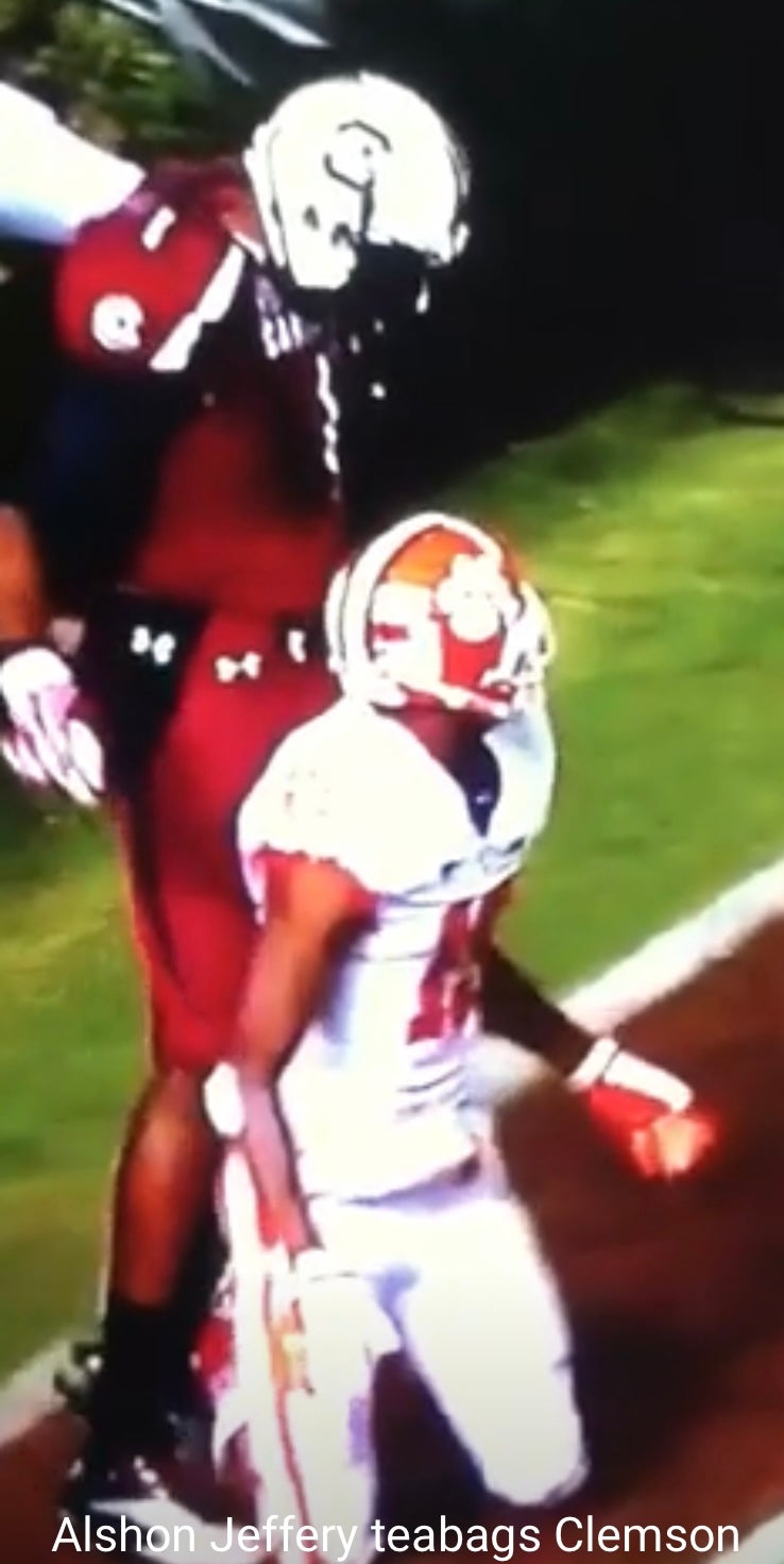 Post your favorite Clemson fan pic