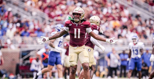 What schools did FSU's transfer departures end up at?