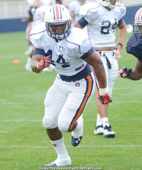 Anthony Swain Profile Photos