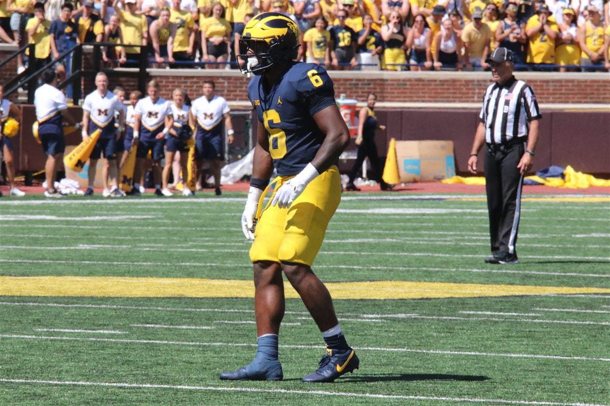 Jesse Minter clarifies versatile role for 'jack of all trades' safety ...