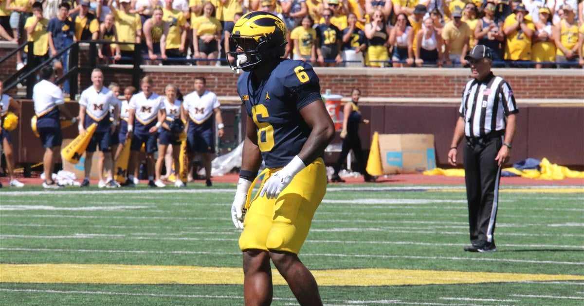 Jesse Minter clarifies versatile role for 'jack of all trades' safety ...