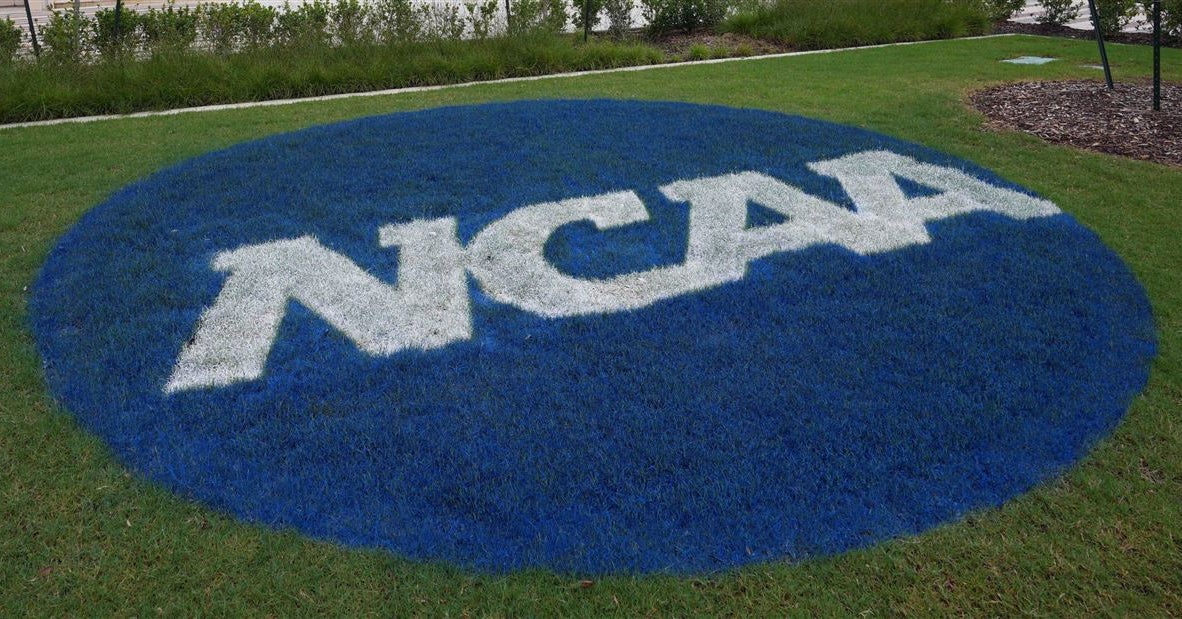 NCAA approves name, image and likeness policy