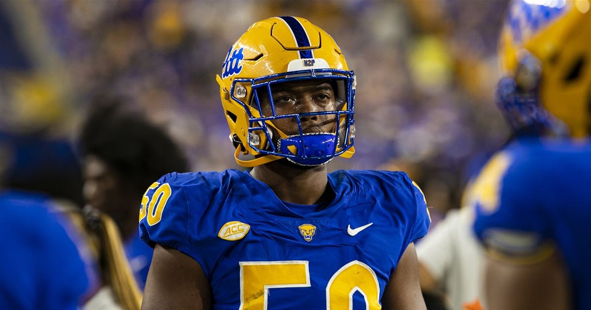 Pitt football player Dayon Hayes arrested on assault charge; Panthers ...