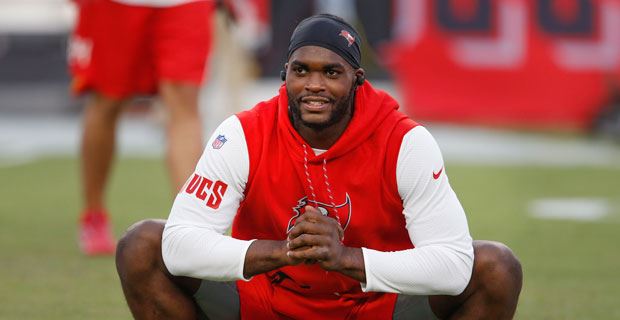 Gamecocks in the NFL: Season Recap