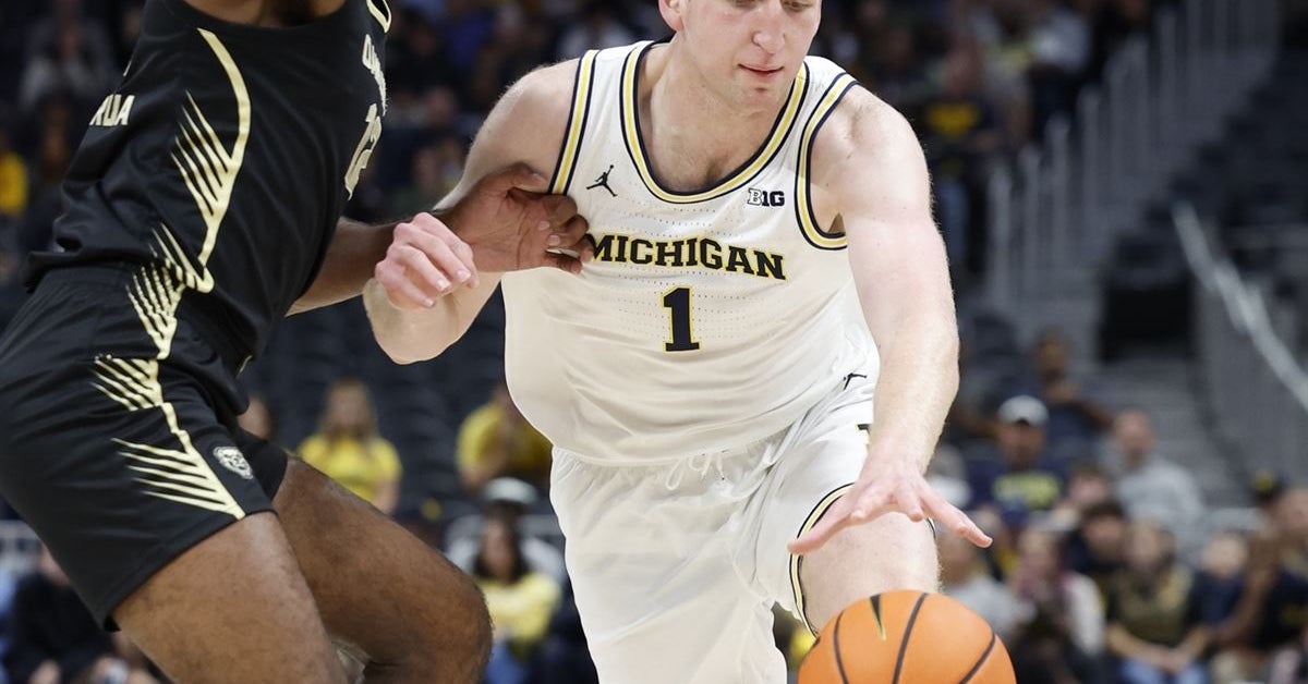Michigan basketball's most important players for the 2024-25 season: No ...