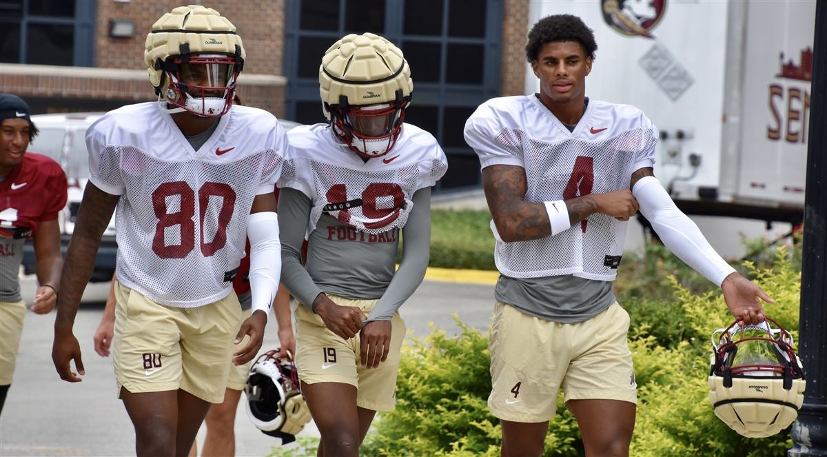 Noles247 Expert Roundtable: Answering 3 questions about the FSU ...