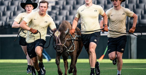 Running with Ralphie Part V: An off-season to grow