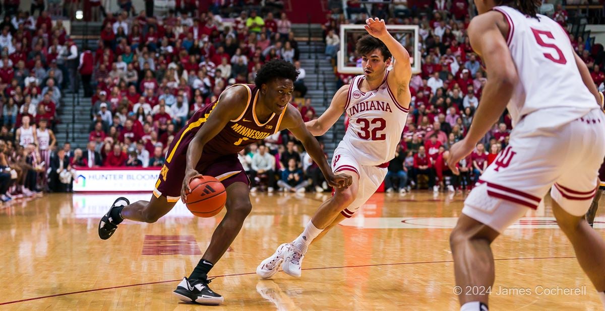 Minnesota Basketball forward Josh Ola-Joseph will enter the transfer portal