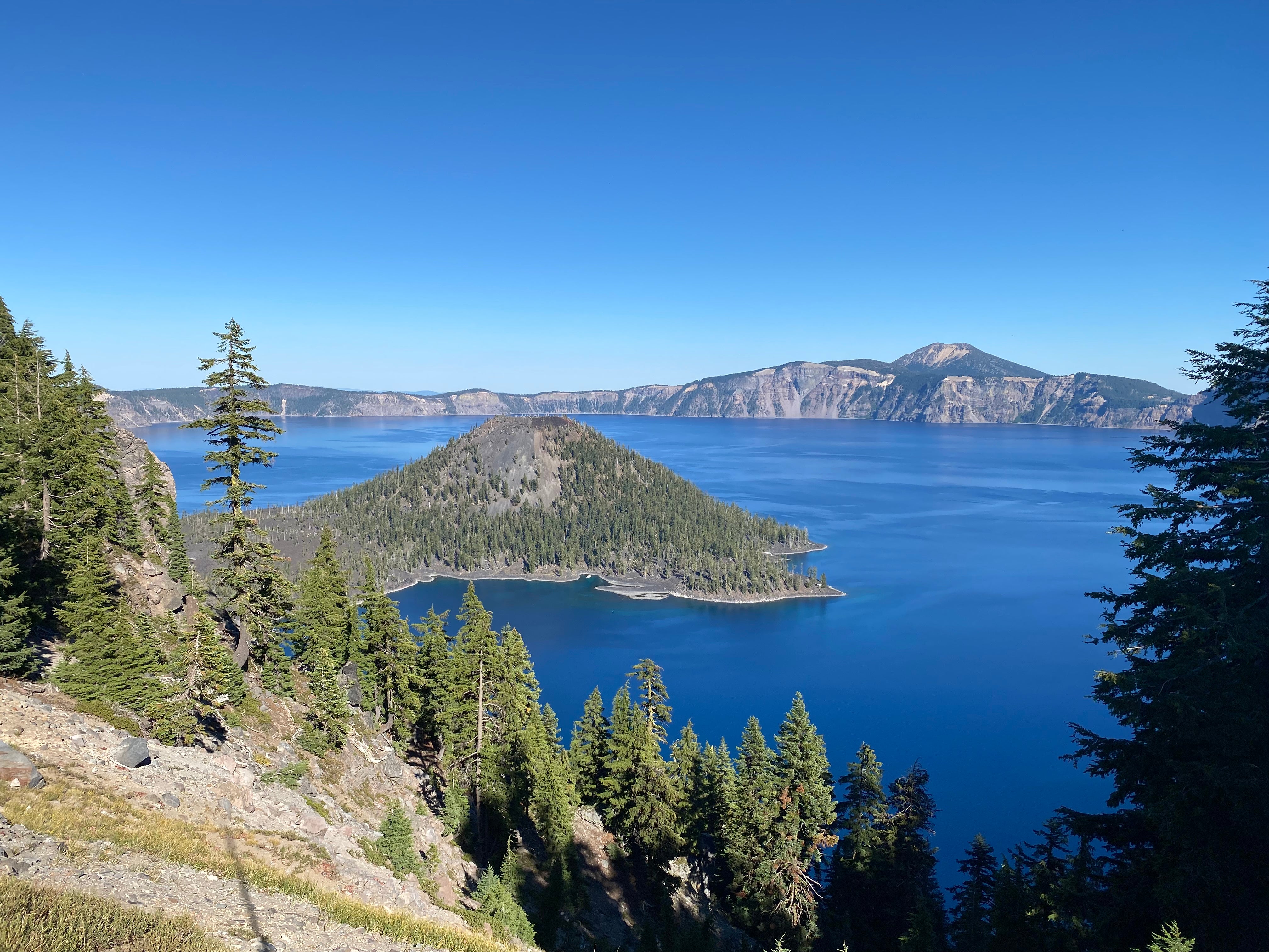 New Offer 2024 OT- Fox Crader