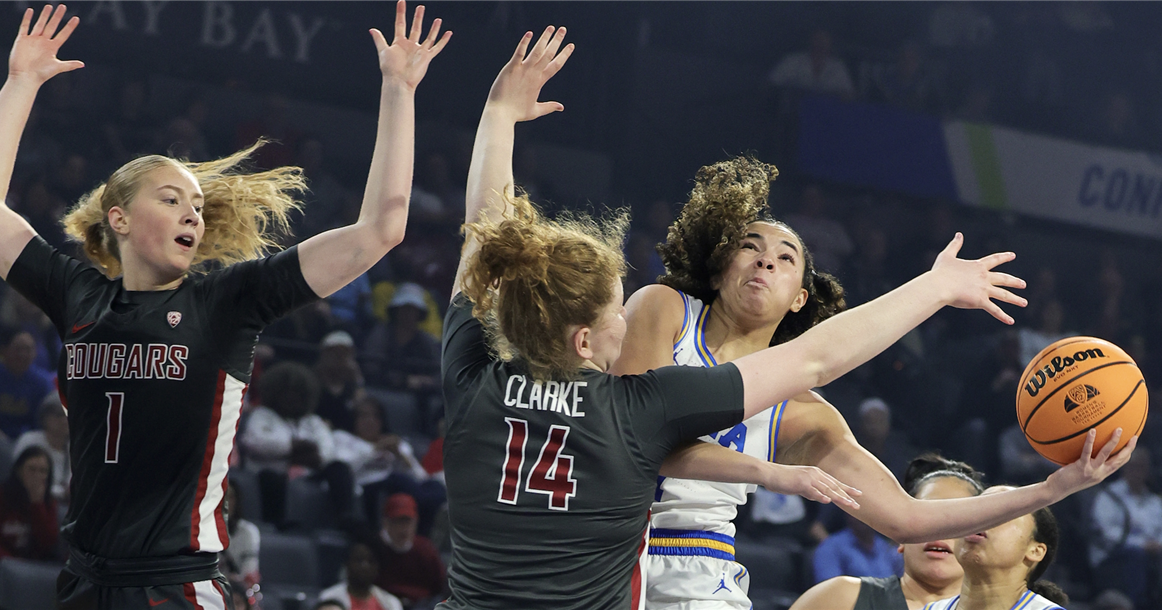 'The Washington State Cougars are a global phenomenon!' An outpouring ...