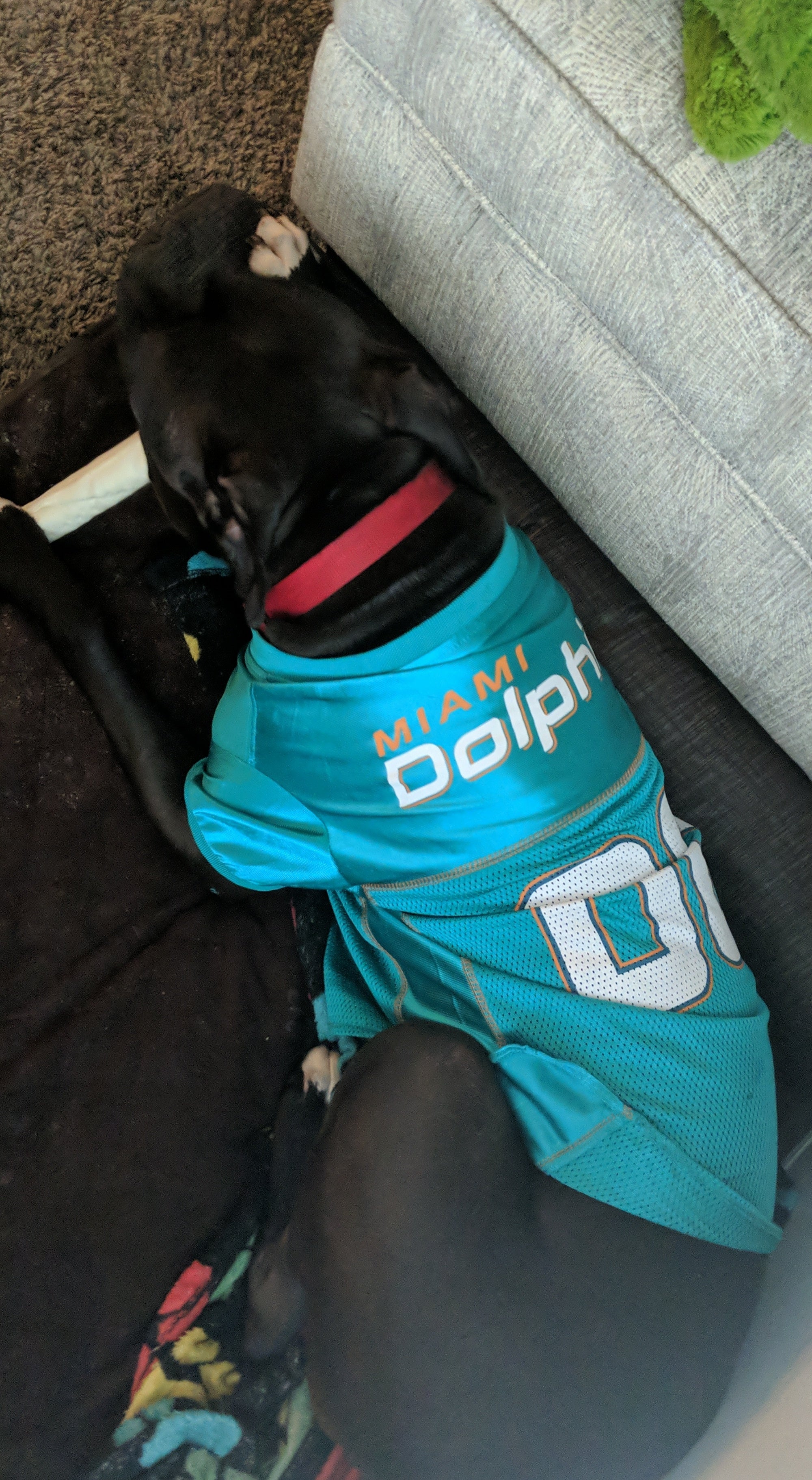 Mason Maggs at Tailback 5